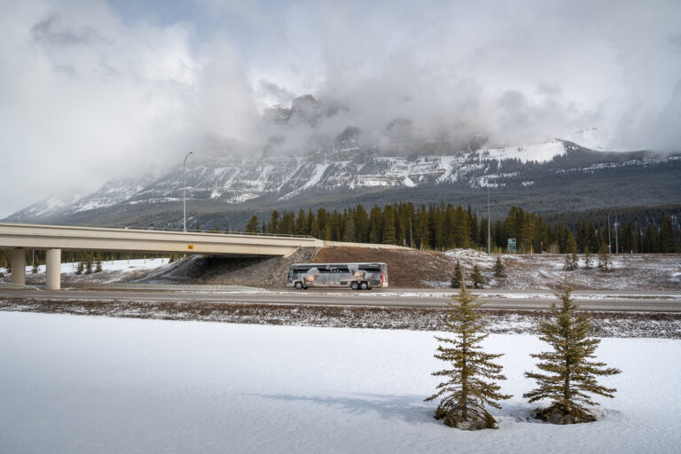 Schedule changes for Route 3, 5C, 5T & 8X - Roam Transit