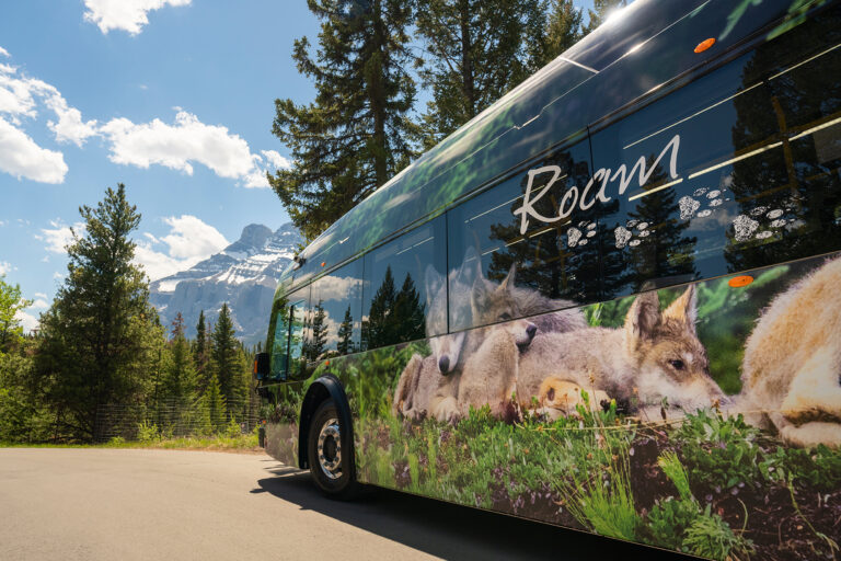 Roam Public Transit reaches record high ridership levels for 2022 ...