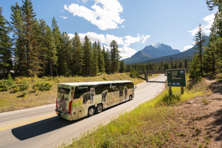 Summer reservations for route 8X and 8S are now open! - Roam Transit