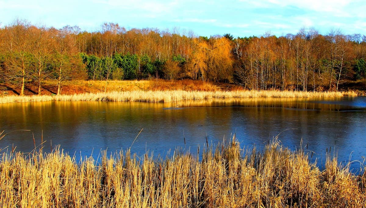 Banff Local Route 1 - Roam Transit