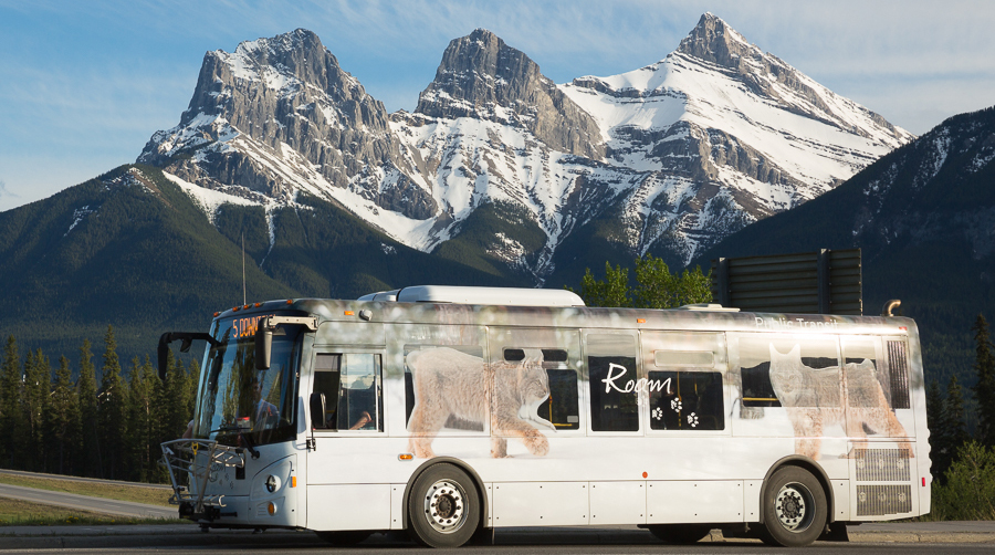 Canmore Local Routes 5C and 5T - Roam Transit