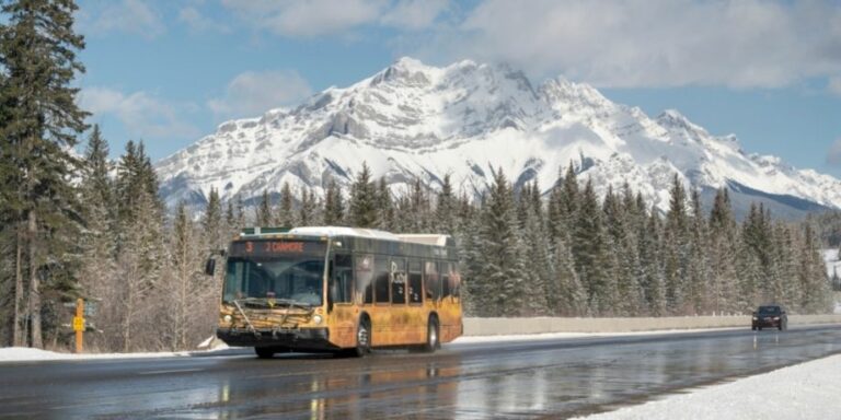 New Bus Tracking Page - Roam Transit