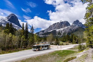 News & Updates - Roam Transit